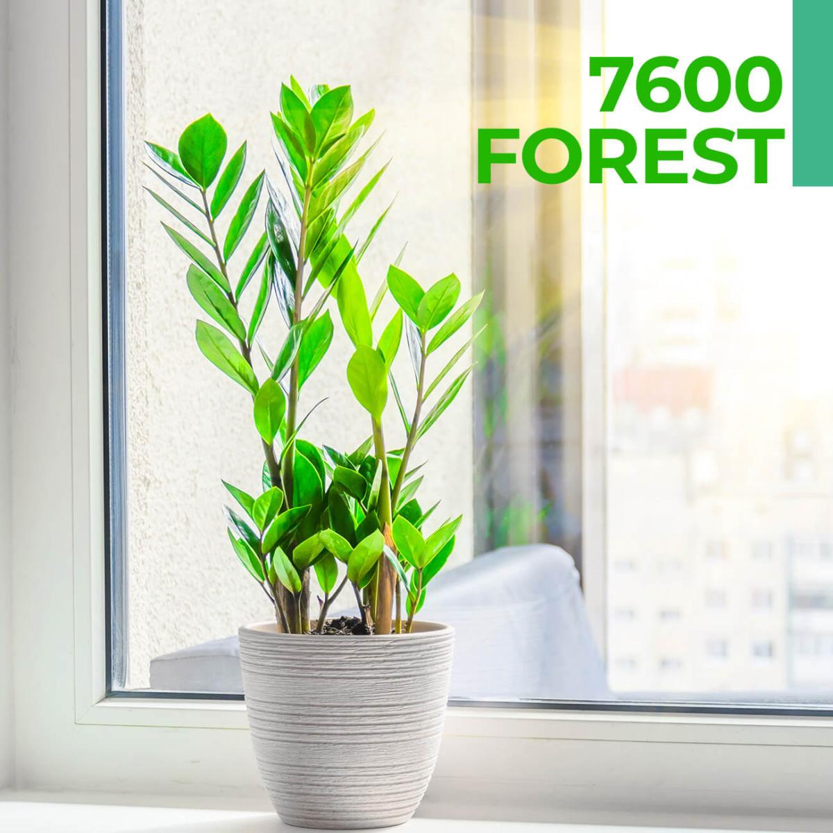 BAUFENS – PVC profile producer